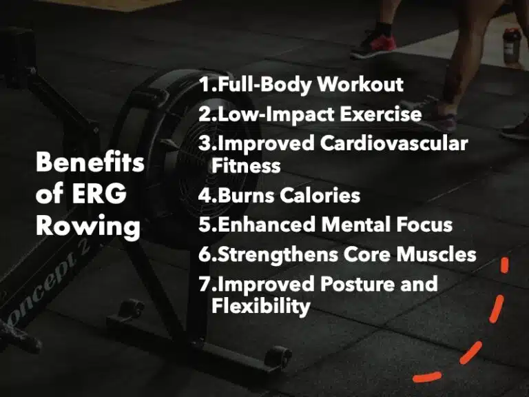 ERG Rowing Machine Benefits, Muscles Worked & How To Use