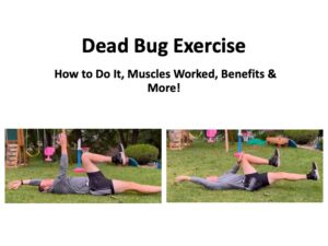 Dead Bug Exercise: How To Do, Muscles Worked, Benefits, More