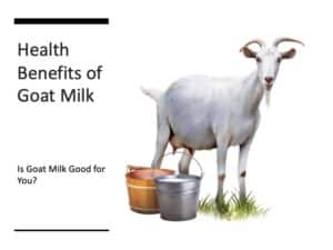 Health Benefits Of Goat Milk: Is Goat Milk Good For You?