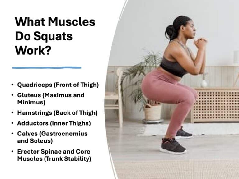 Squats: Benefits, Muscles Worked, Types Of Squats & More!