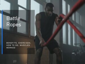 Battle Ropes: Benefits, Exercises, How To Do, Muscles Worked
